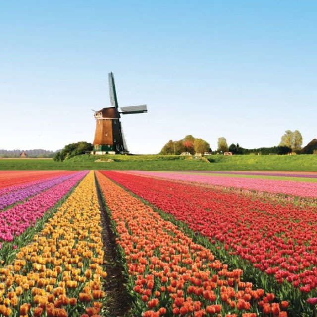 Hollandia utazás